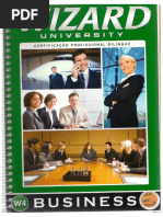 Wizard, W2-Home-Completo | PDF