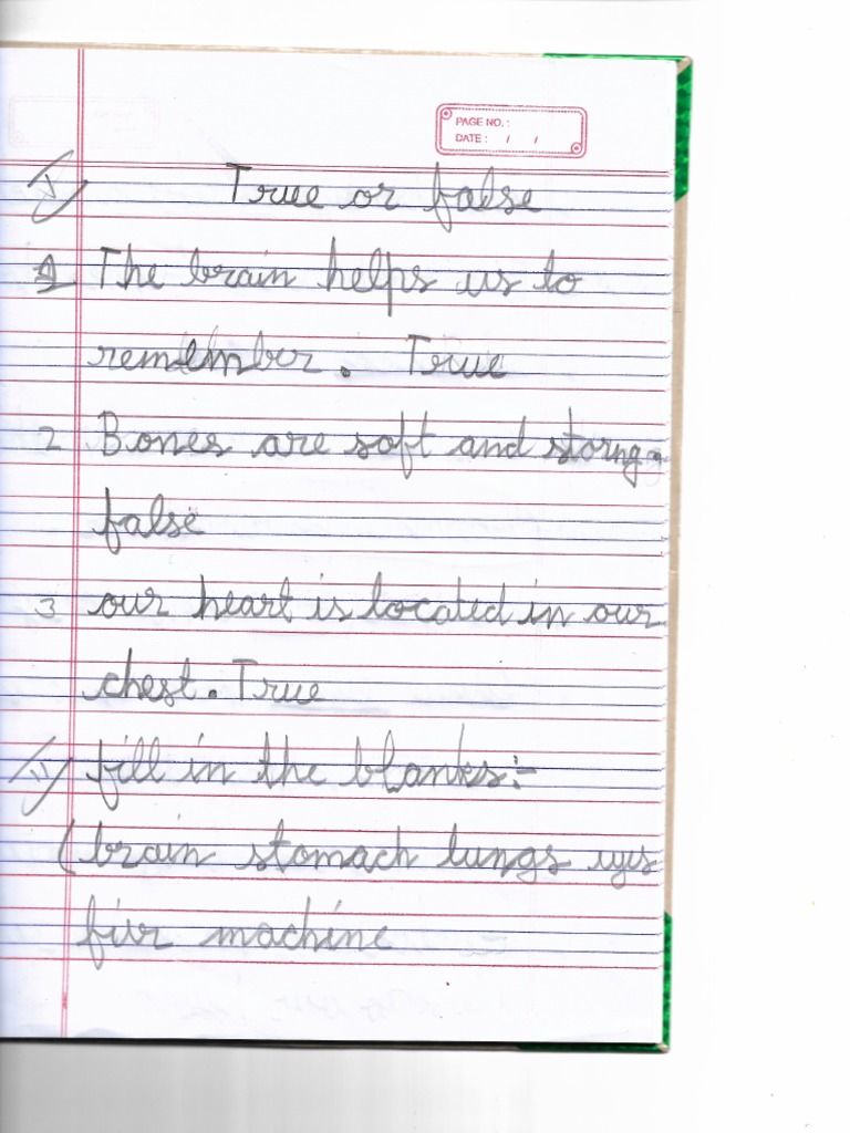 How Our Body Works | PDF