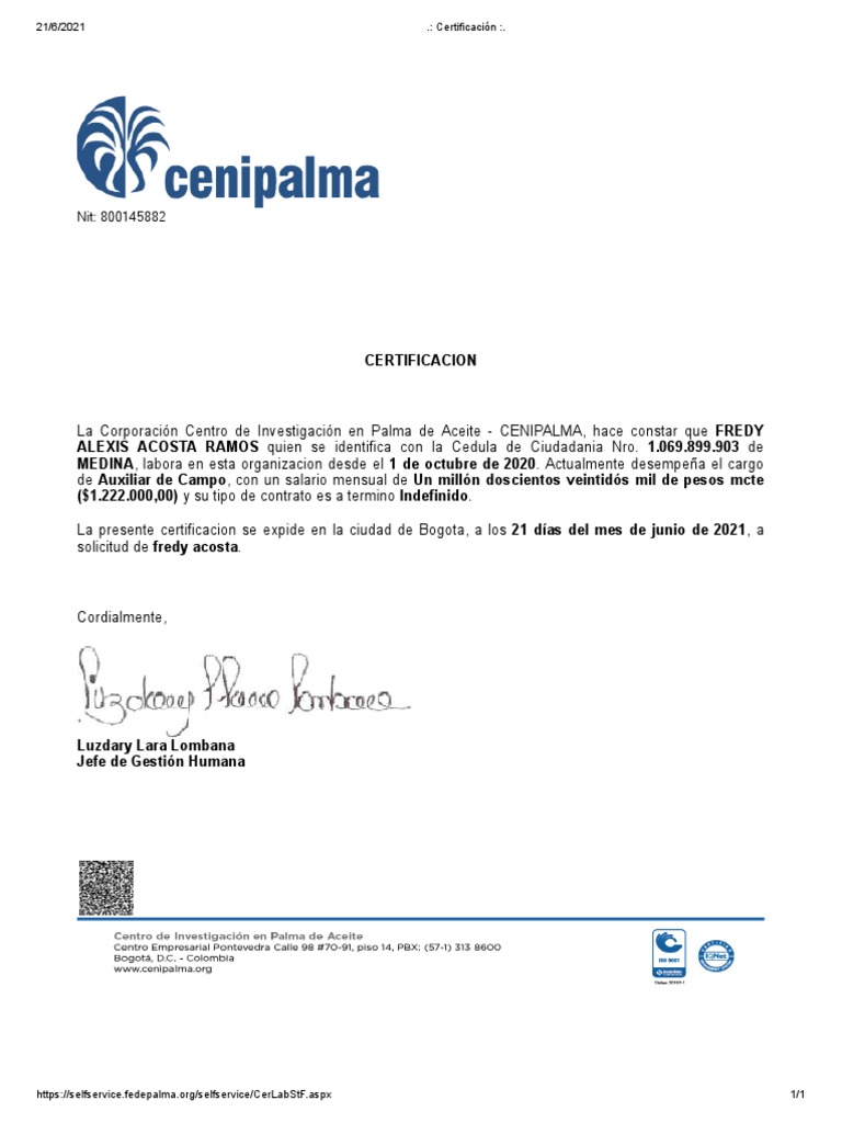 Carta Laboral | PDF