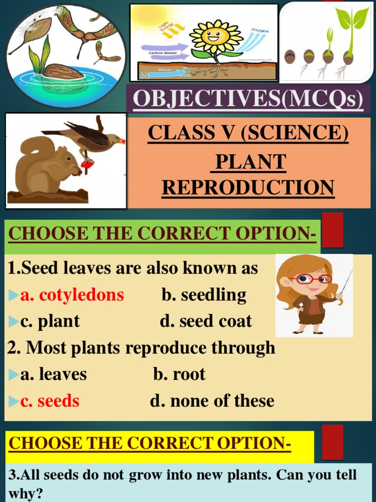 Plant Reproduction MCQs for Class V | PDF | Seed | Germination