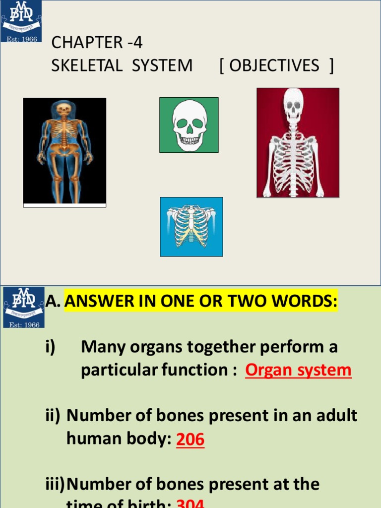 Skeletal System (Objectives) | PDF | Arm | Skeleton