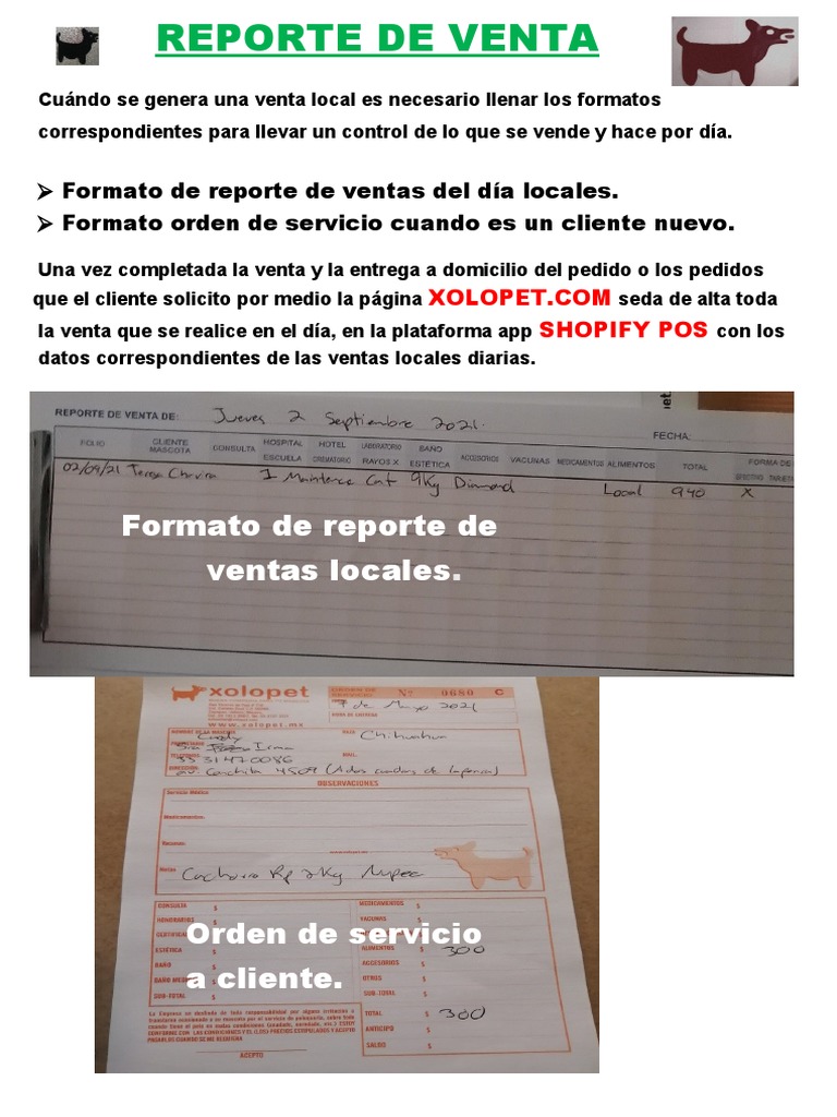 Reporte de Venta | PDF