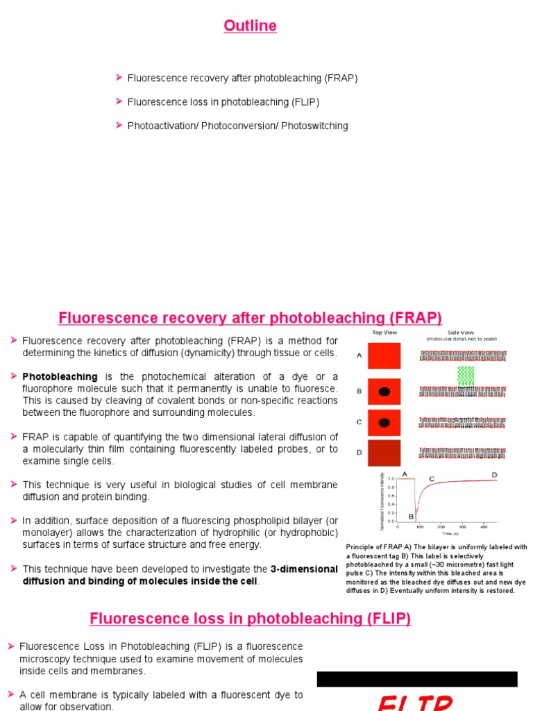 Biooptics PPT - Module 2 - Part 5 | PDF | Physical Sciences | Life Sciences