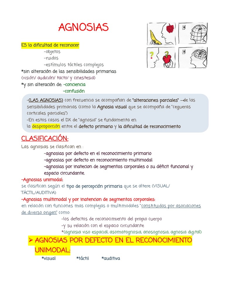 AGNOSIAS | PDF | Percepción visual | Cognición