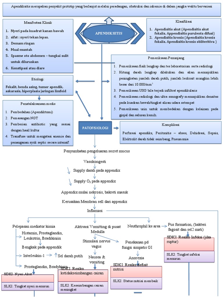 Woc Apendisitis | PDF