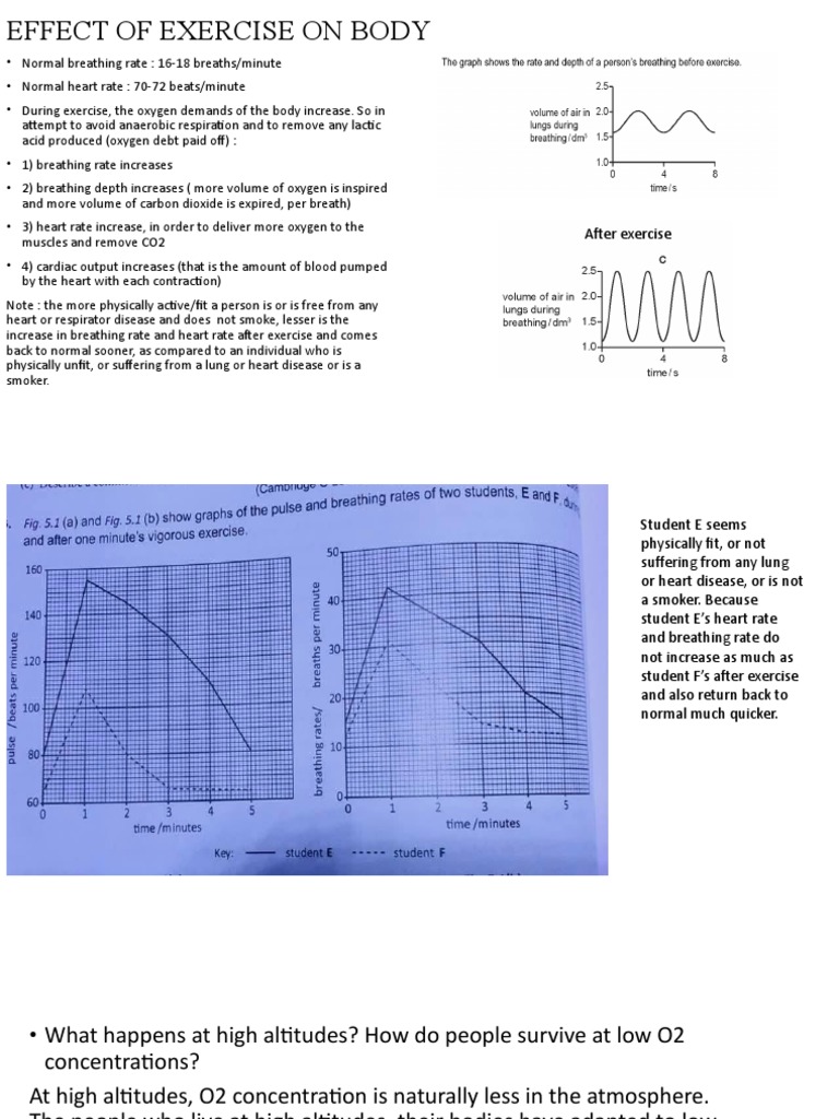 Effect of Exercise On Body | PDF