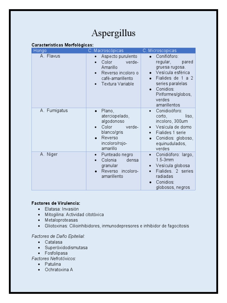 Características y Patologías de Aspergillus | PDF | Tos | Inmunología