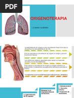 Dispositivos de Oxigenoterapia | PDF | Oxígeno