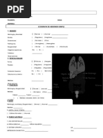 Clasificacion de Grannum | PDF | Placenta | Parto