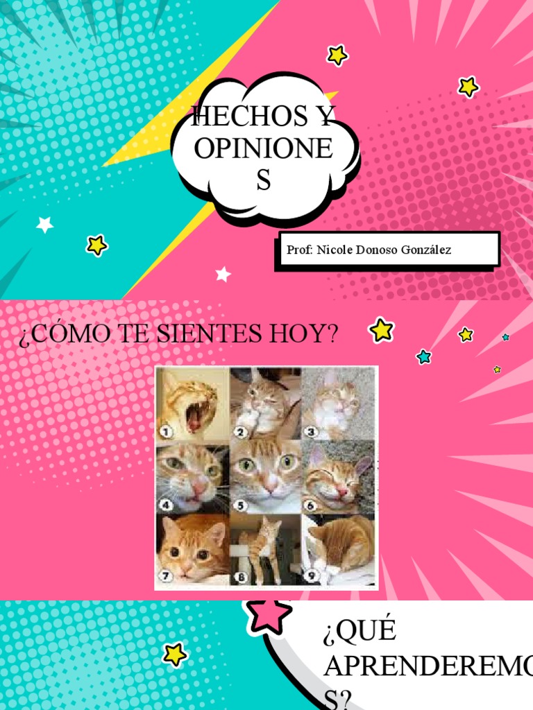 Hechos y Opinion | PDF