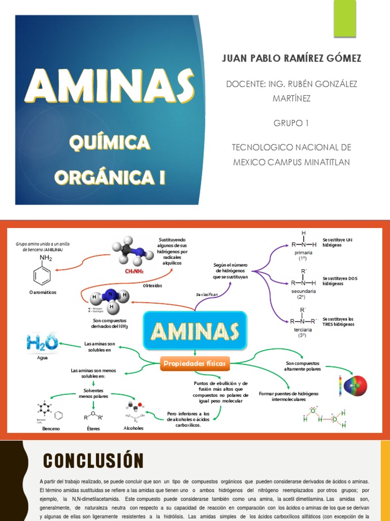 Aminas - Ramirez Gomez Juan Pablo | PDF | Amina | Amida
