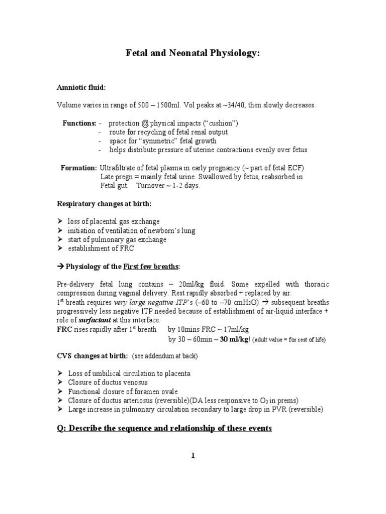 Fetal-Neonatal Physiology | PDF | Fetus | Lung