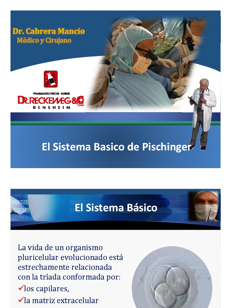 Sistema Basico de Pischinger | PDF | Biología Celular) | Fisiología