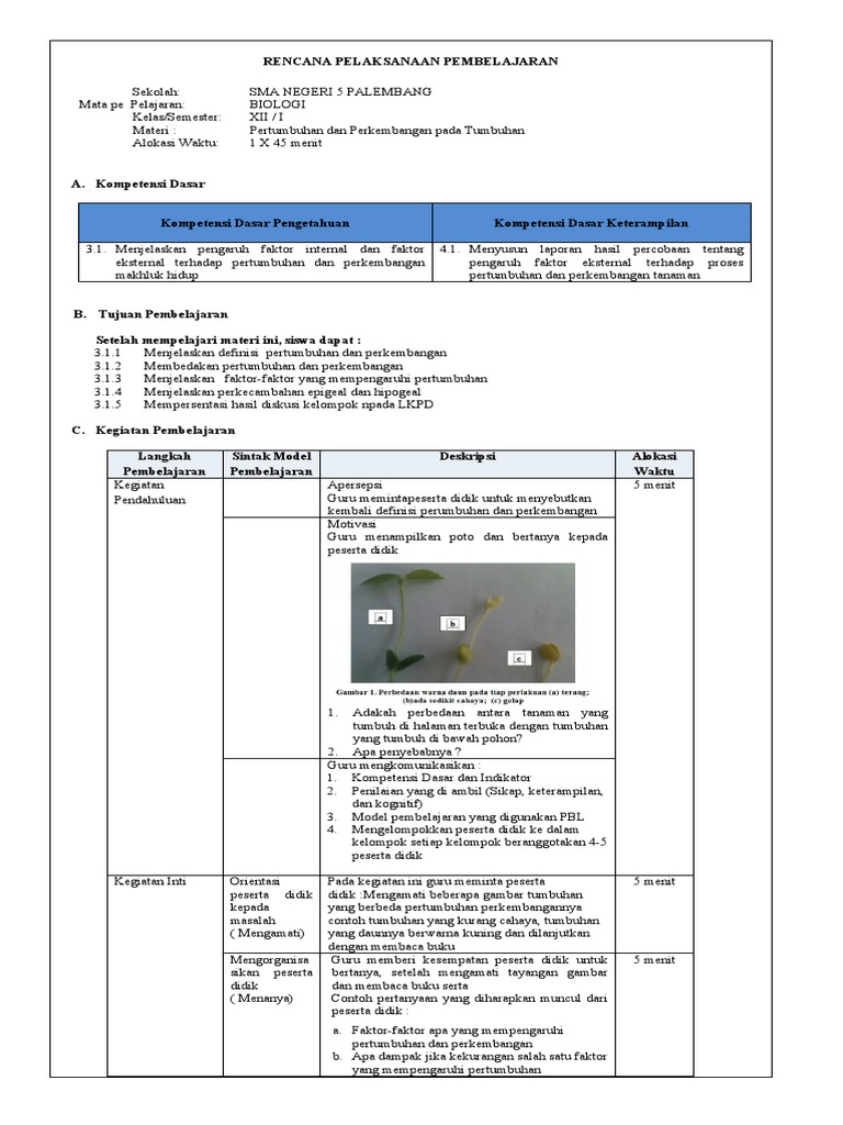 RPP Pertumbuhan Dan Perkembangan-Rev | PDF