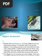 MORE 4 General Workbook | PDF