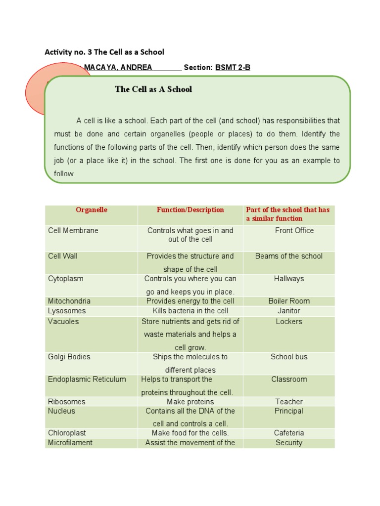 The Cell as a School: Functions Explained | PDF | Cell (Biology ...