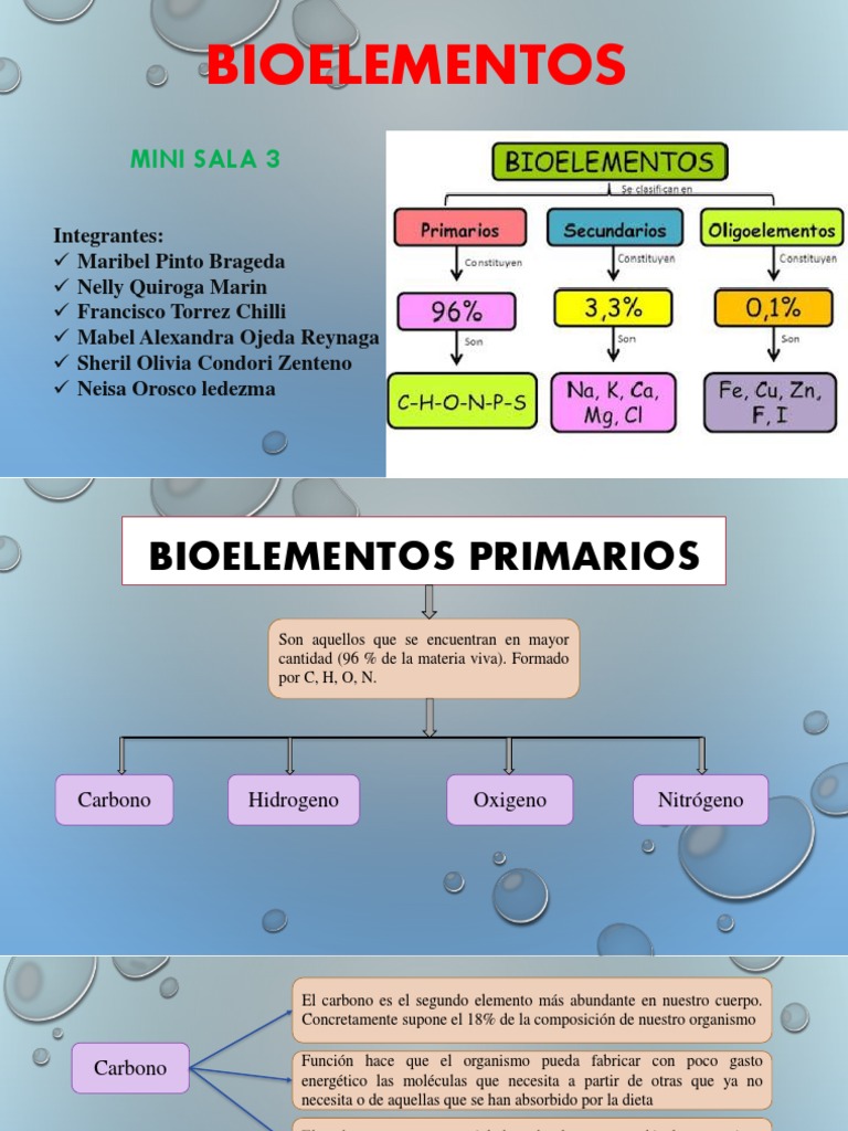 Bioelementos: Funciones y Tipos Esenciales | PDF | Calcio | Metabolismo