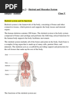 Skeletal System PowerPoint | PDF | Bone | Skeleton