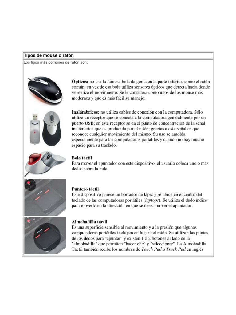 Tipos de Mouse | PDF