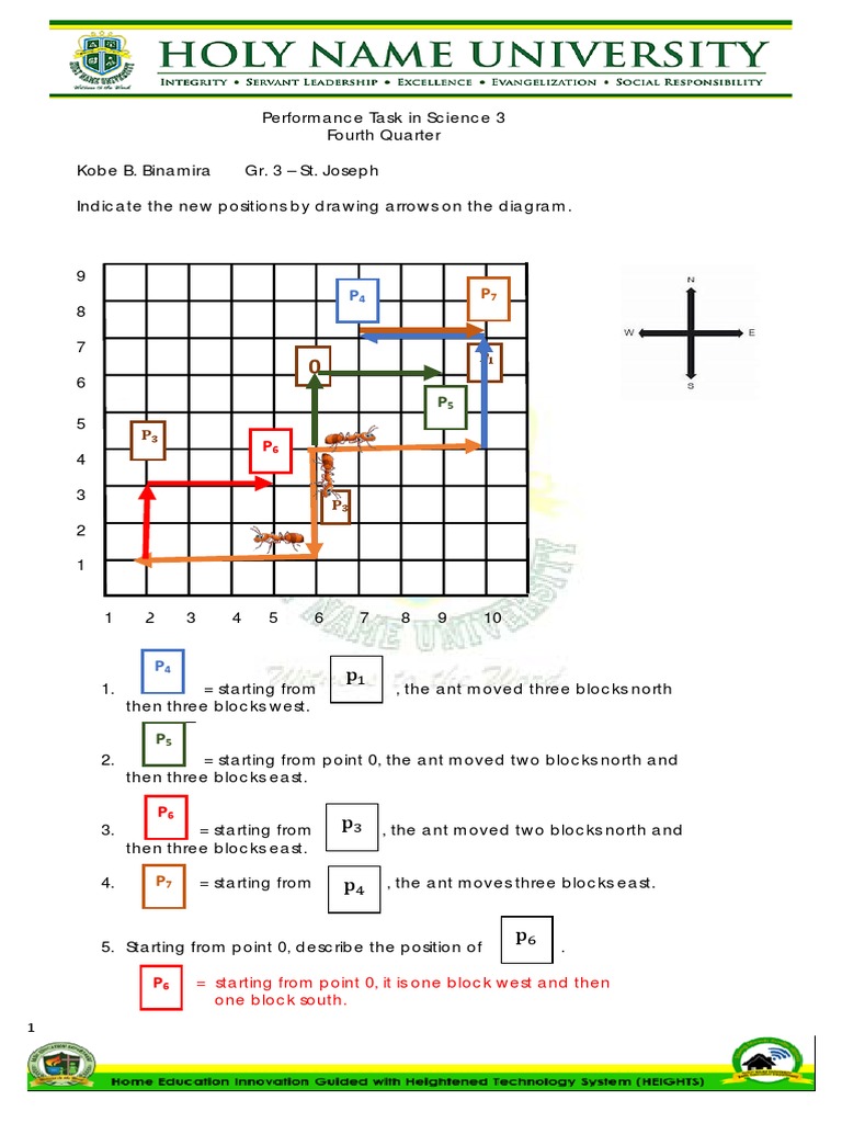 Q4 Performance Task Science 3 | PDF