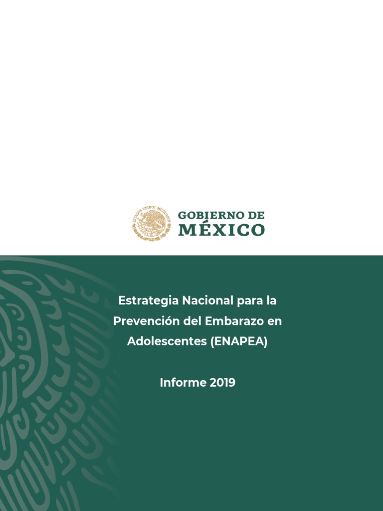 Informe2019 Enapea | PDF | Control de la natalidad | Embarazo en la ...