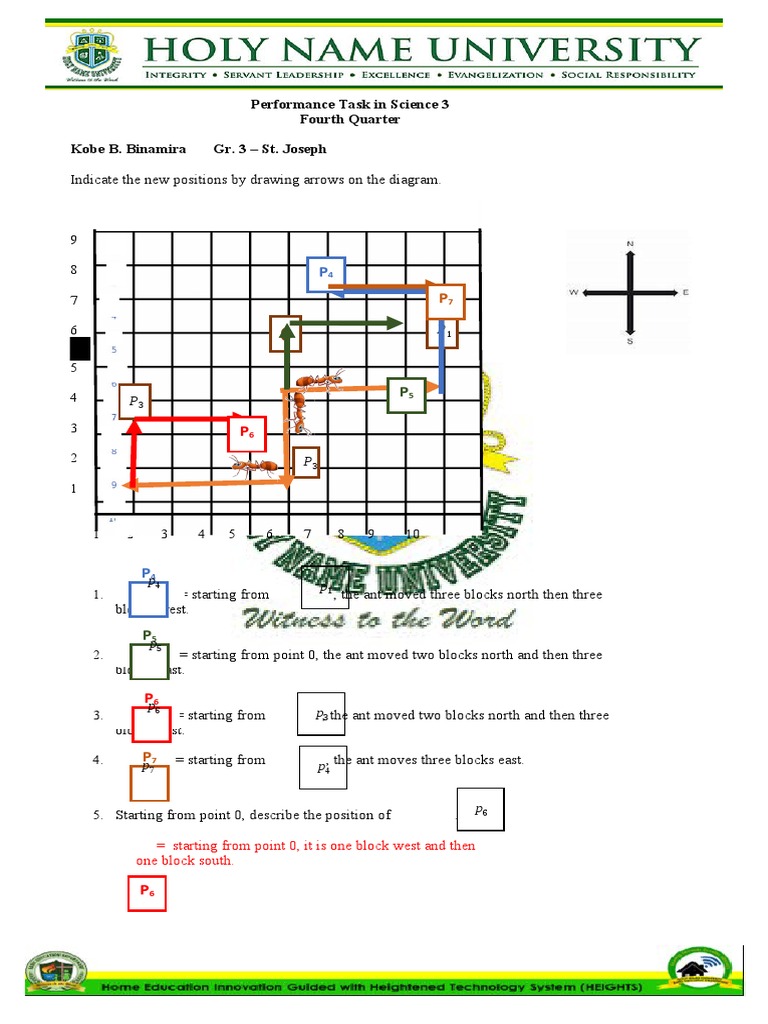 Q4 Performance Task Science 3 | PDF