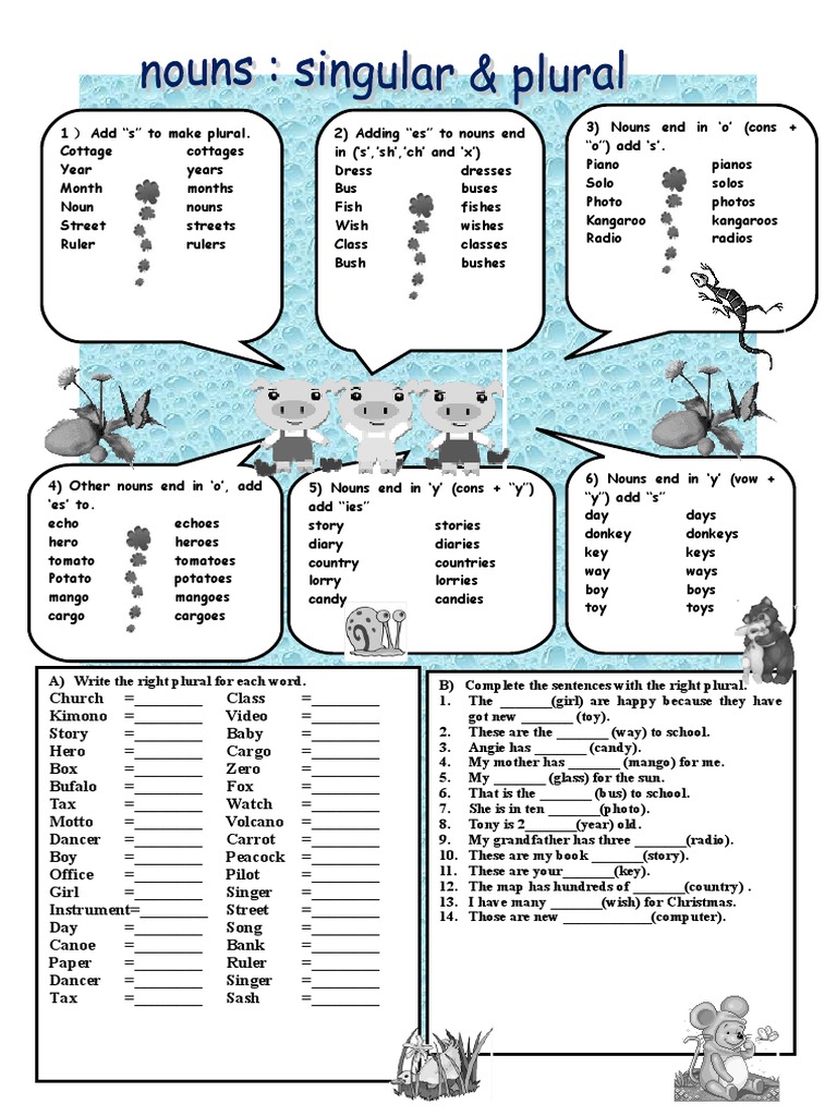 Nouns Singular and Plural Grammar Guides Picture Dictionaries | PDF ...