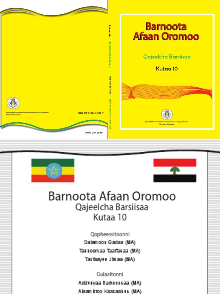 Afaan Oromoo Grade 10 Teacher Guides | PDF