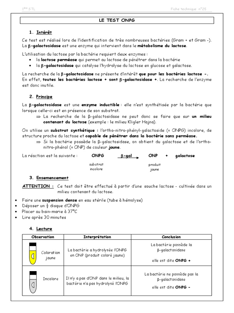 Fiche Technique Onpg Pdf Enzyme Bactérie