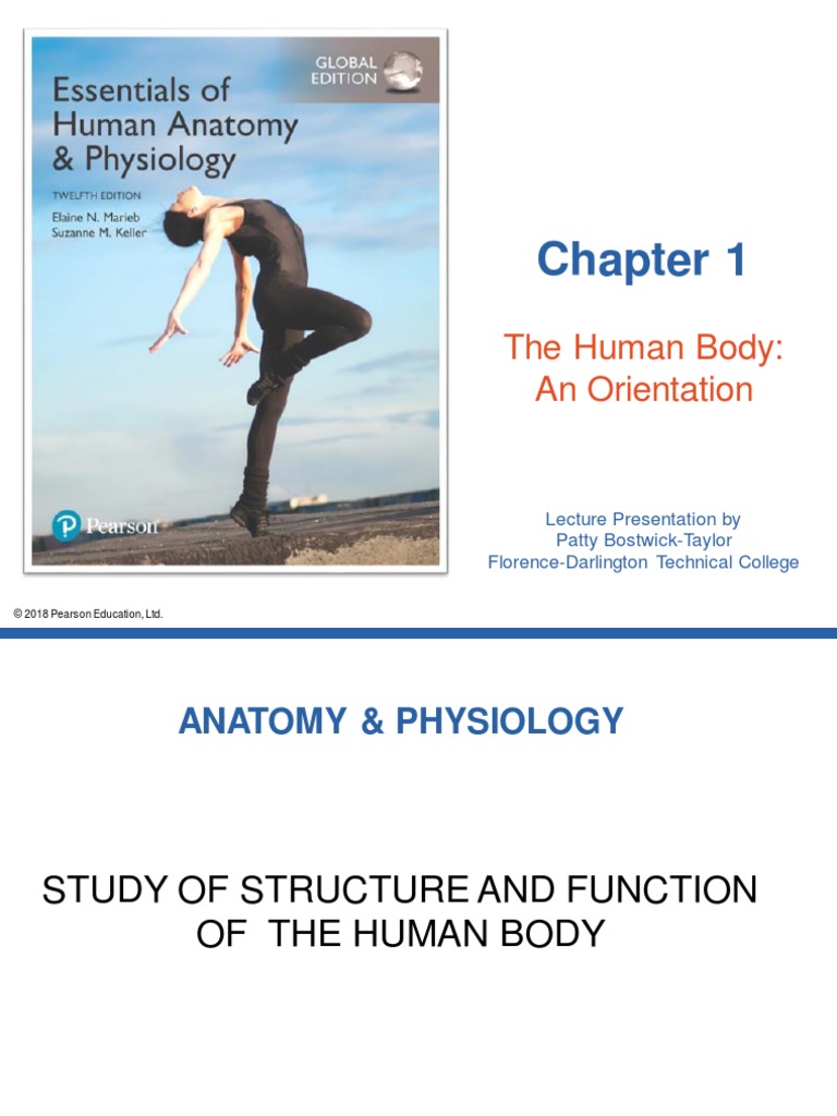 Powerpoint Chap 1 | PDF | Human Body | Anatomical Terms Of Location