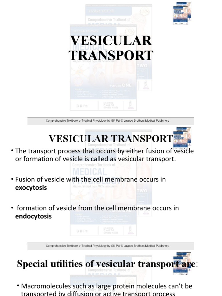 CH - 6, Vesicular Transport | PDF | Vesicle (Biology And Chemistry ...