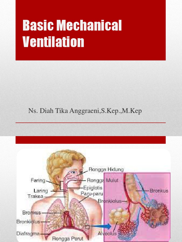 Basic Mechanical Ventilation | PDF