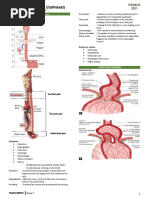 Voice Vibratory Assessment and Laryngeal Imaging VALI Videostroboscopy ...