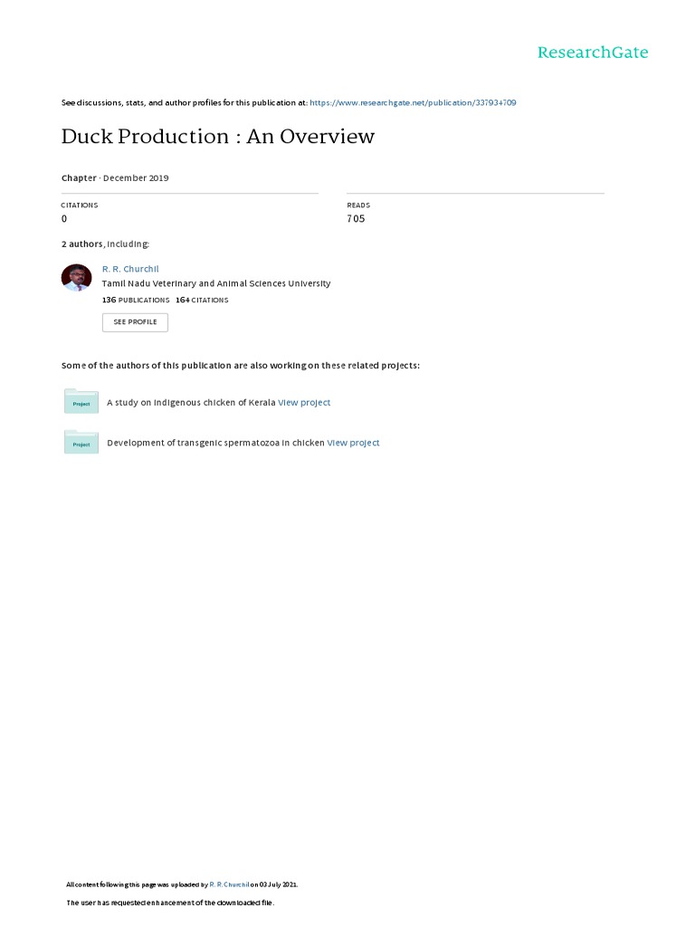 Duck Production: An Overview: December 2019 | PDF | Agriculture | Rice