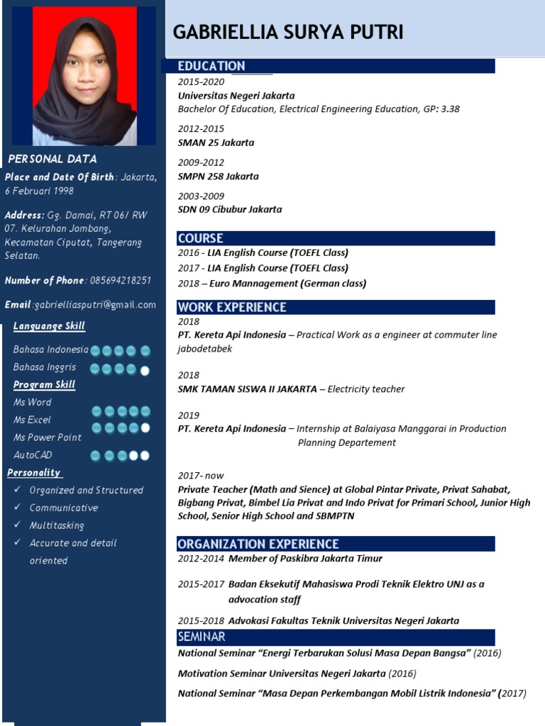 Curriculum Vitae-Gabriellia | PDF | Computing | Science And Technology