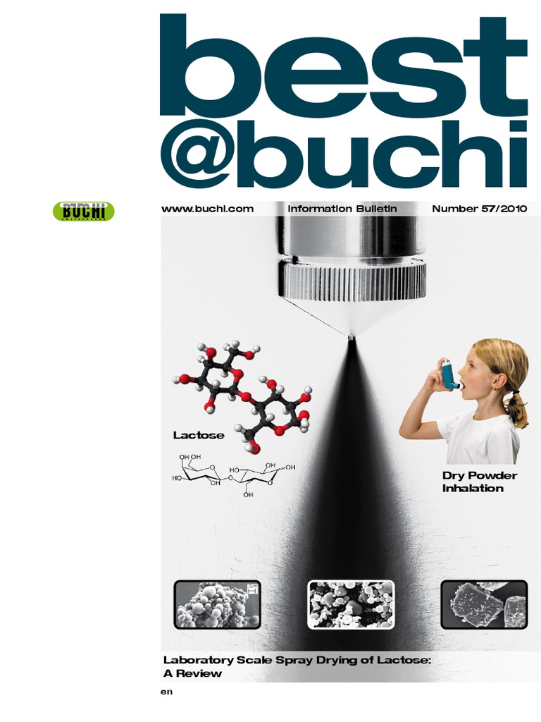 Laboratory Spray Drying of Lactose Review | PDF | Sucrose | Nanoparticle