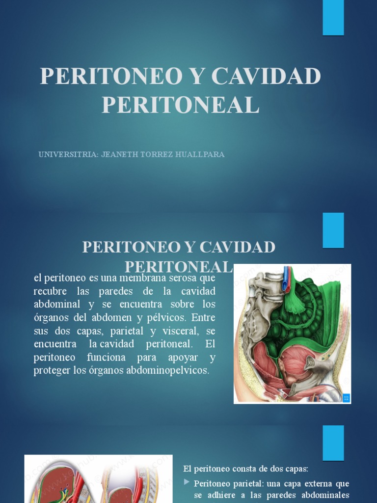 Peritoneo y Cavidad Peritoneal | PDF | Peritoneo | Abdomen