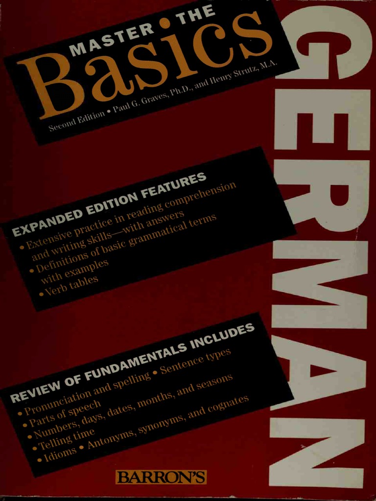 Master The Basics | PDF | Grammatical Tense | Grammatical Gender