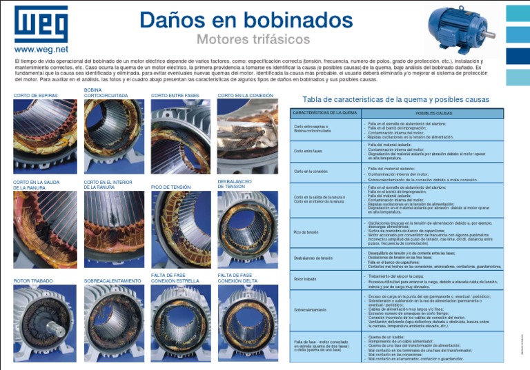 Fallas Comunes En Motores Eléctricos Pdf Inductor Aislador