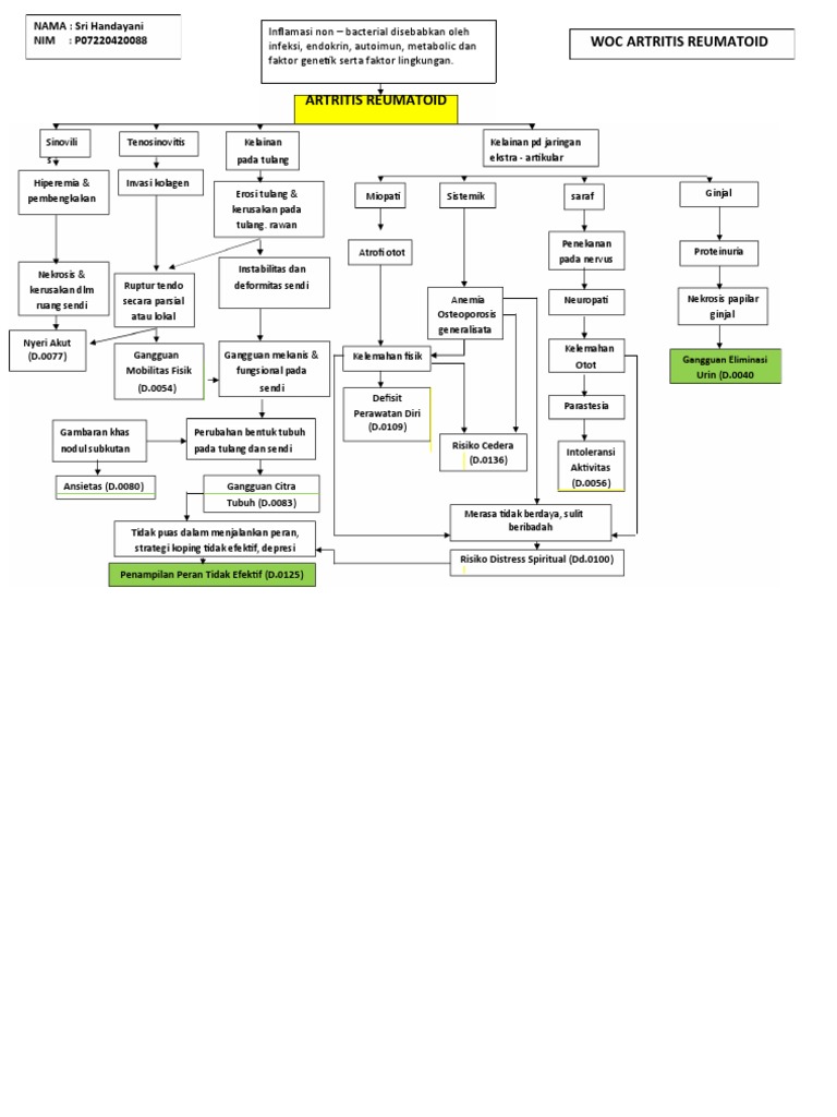 Pathway Artritis Reumatoid dan Komplikasi | PDF