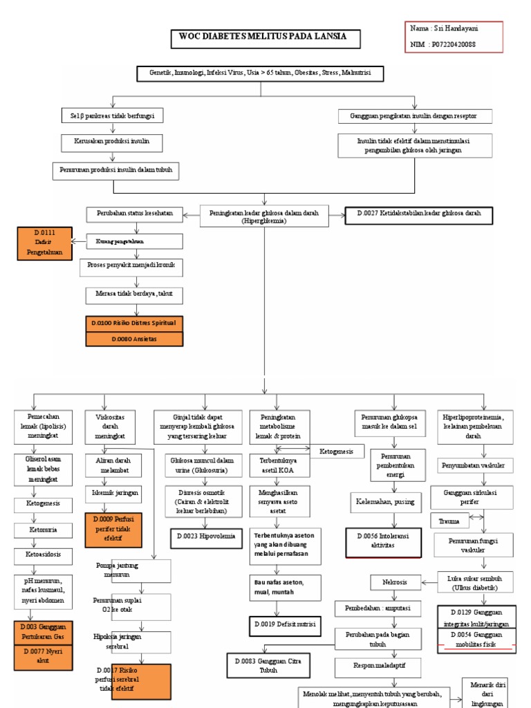 Diabetes Melitus Lansia: Diagnosis dan Intervensi Keperawatan | PDF