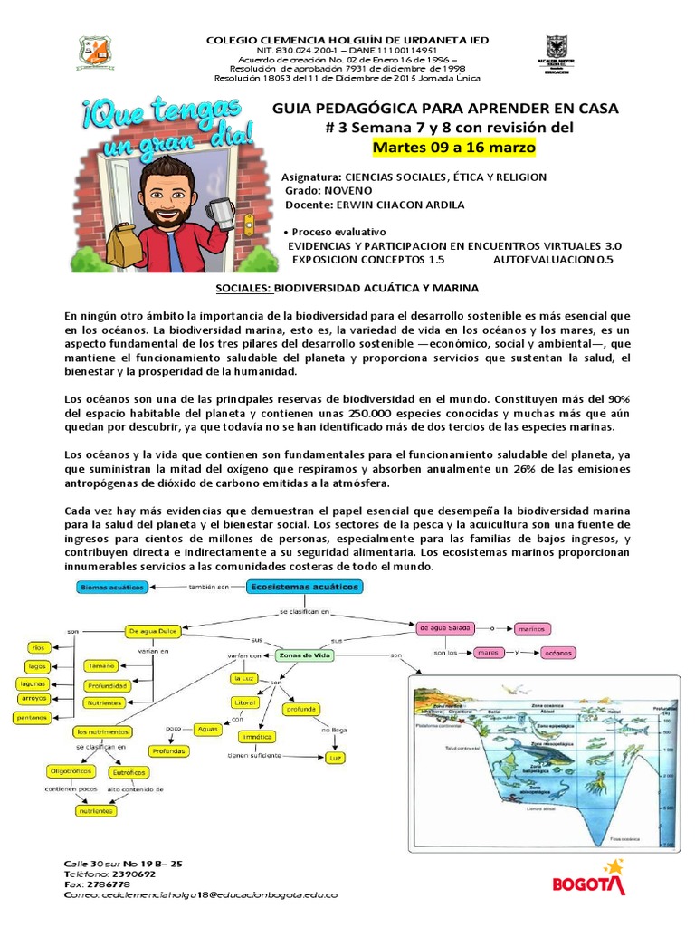 Noveno Guia 3 p1 Erwin Chacon Ardila | PDF | Sustentabilidad ...