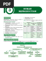 Human Reproduction Mindmap | PDF | Menstrual Cycle | Reproductive System