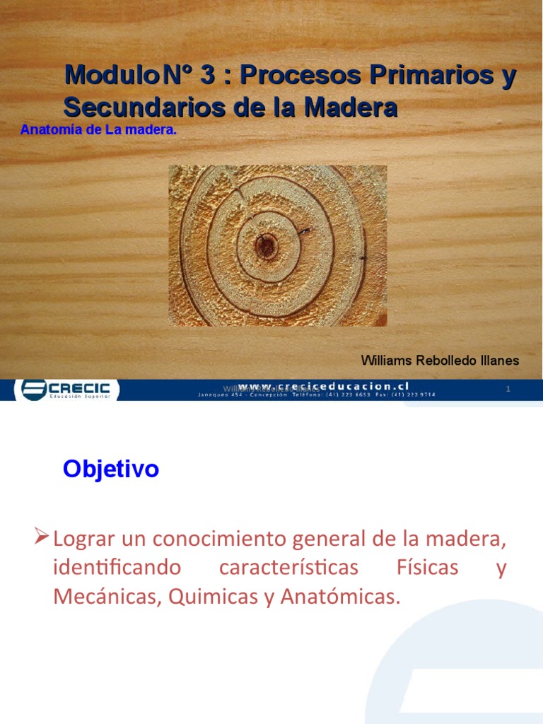 Anatomía y propiedades de la madera | PDF | Madera | Agua