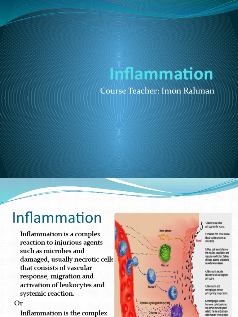 Understanding the Complex Process of Inflammation: A Comprehensive Look ...