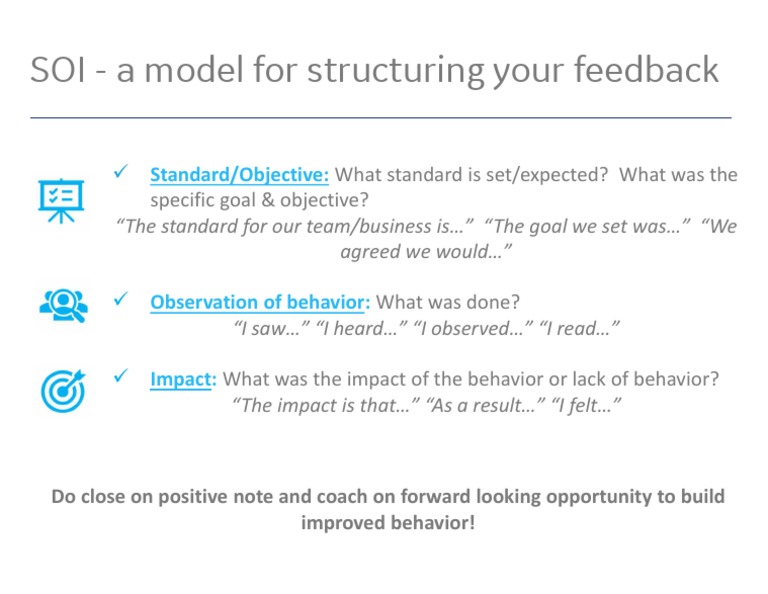 SOI - A Model For Structuring Your Feedback: Standard/Objective | PDF