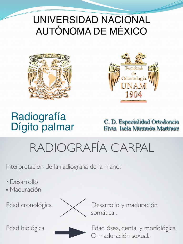 Radiografía Dígito Palmar | PDF | Mano | Anatomía