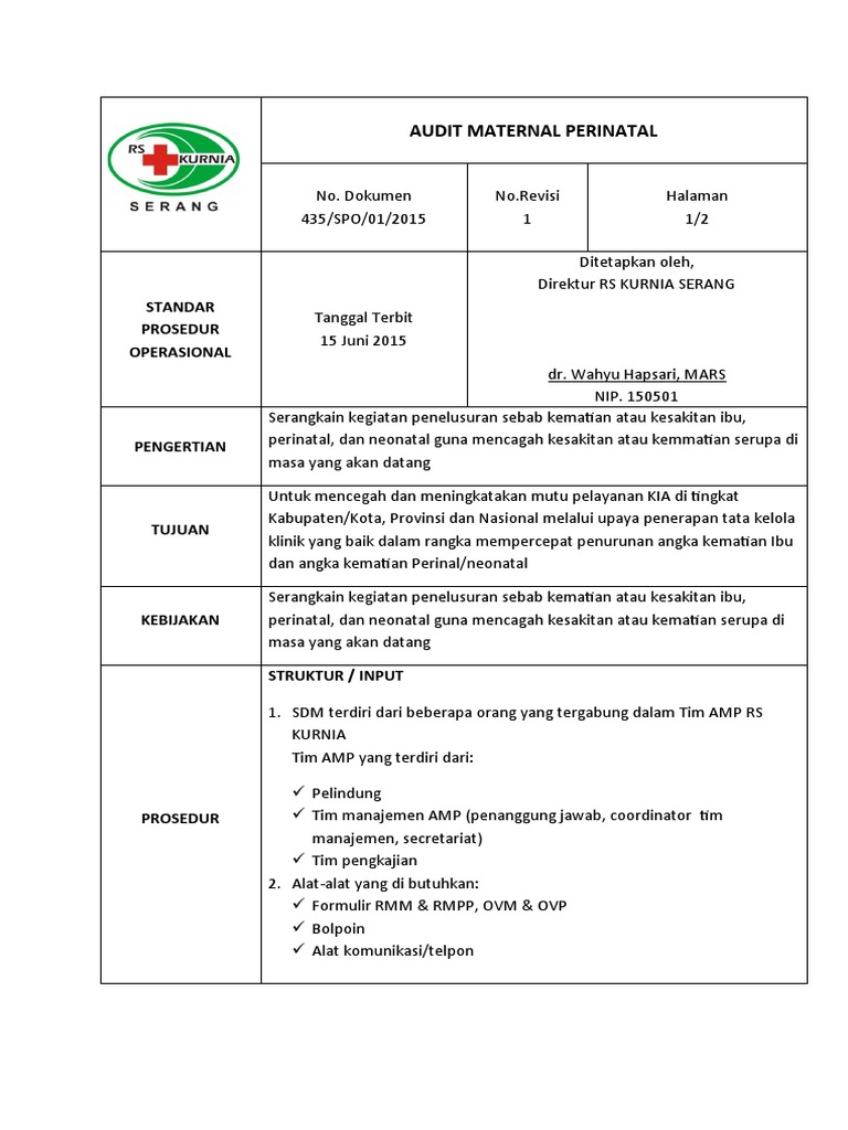 Audit Maternal Perinatal | PDF | Pengembangan Diri | Kesehatan Holistik