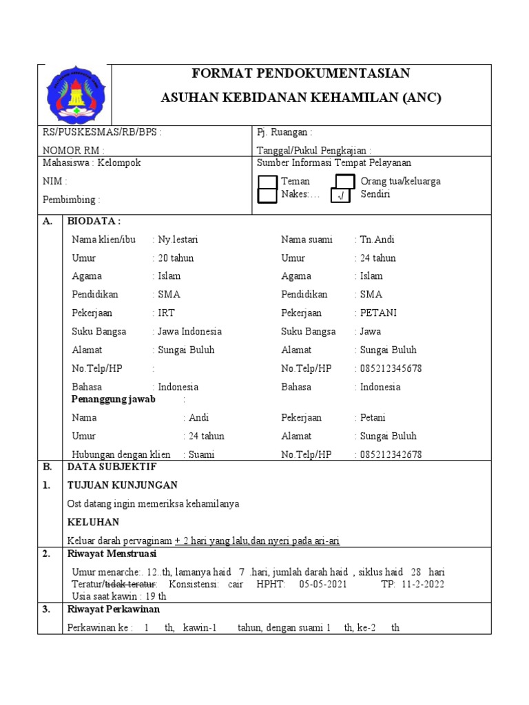 Format Pendokumentasian Asuhan Kebidanan Kehamilan (Anc) : A. Biodata | PDF