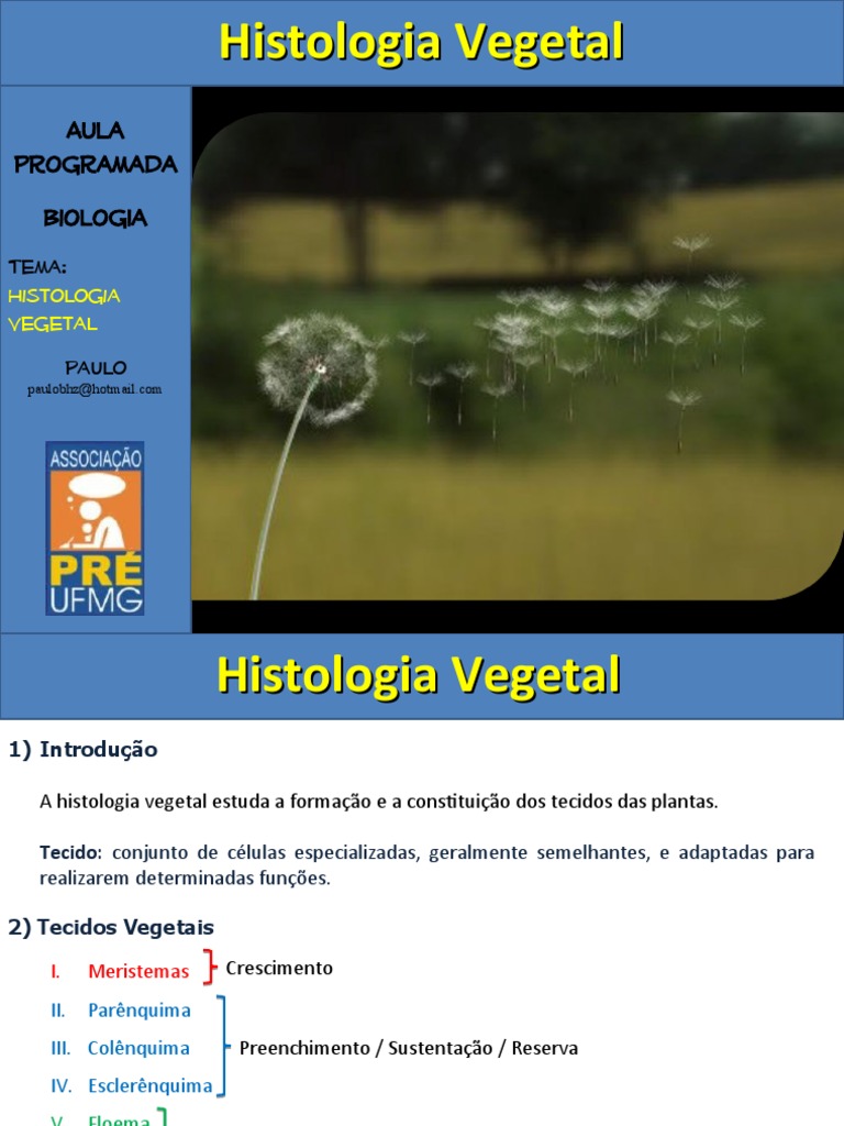 Histologia e Organologia Vegetal | PDF | Raiz | Latido